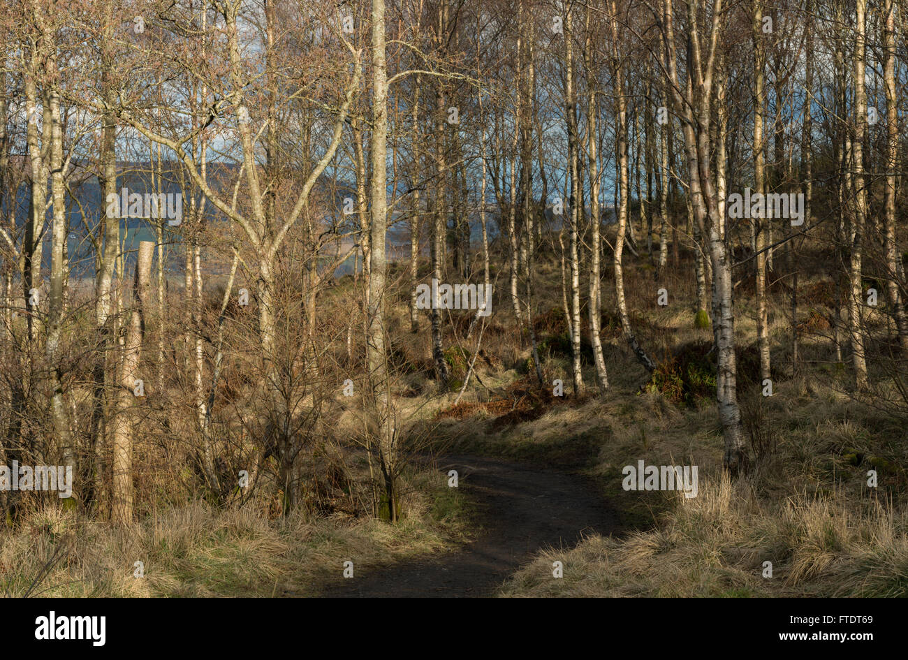 Moncrieffe hi-res stock photography and images - Alamy