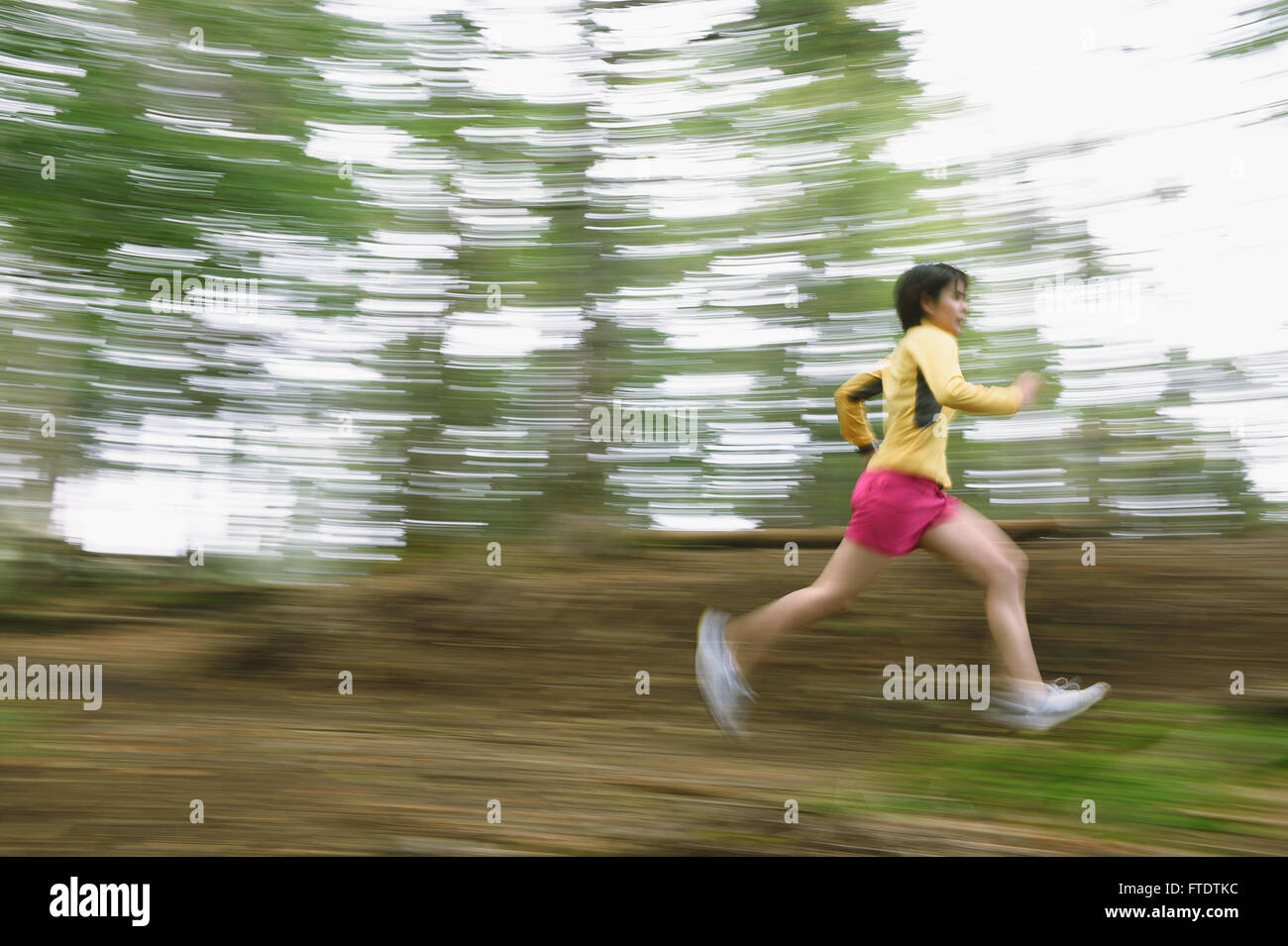 Trail running forest japan hi-res stock photography and images - Alamy
