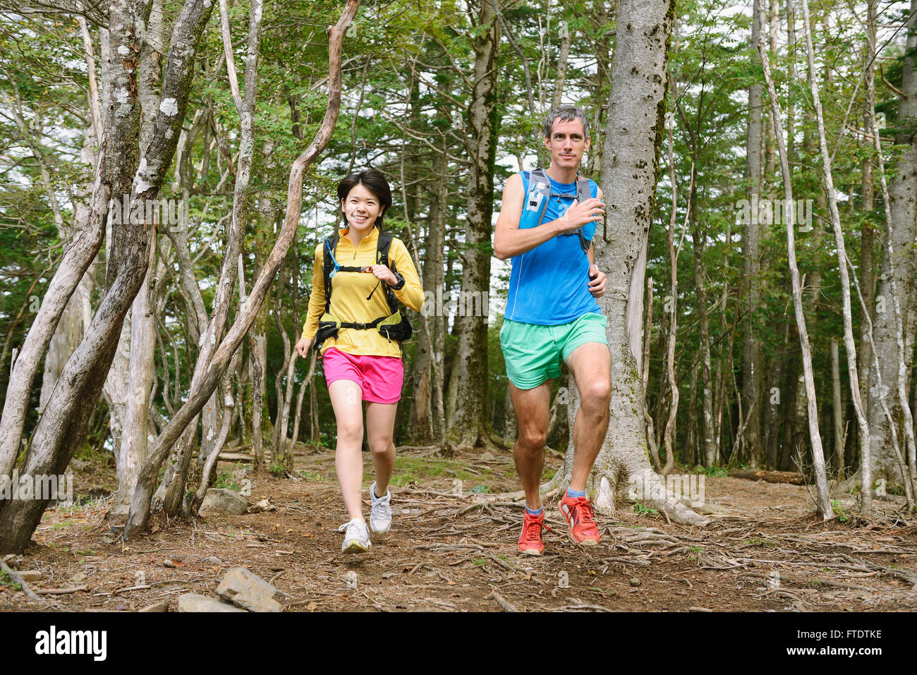 Yamanashi forest hi-res stock photography and images - Alamy