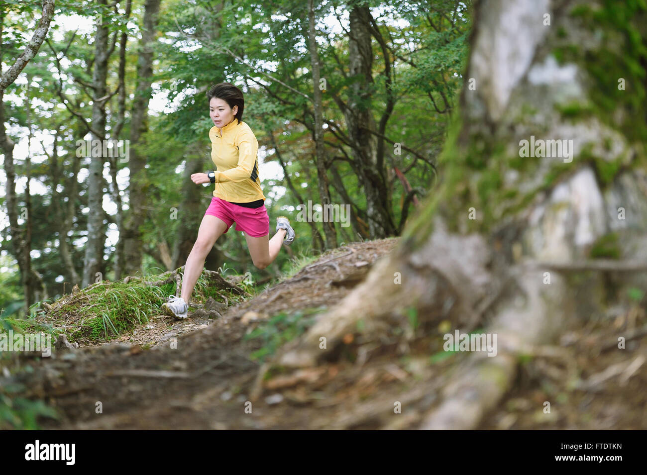 Young Japanese woman trail running at Mount Daibosatsu, Yamanashi ...
