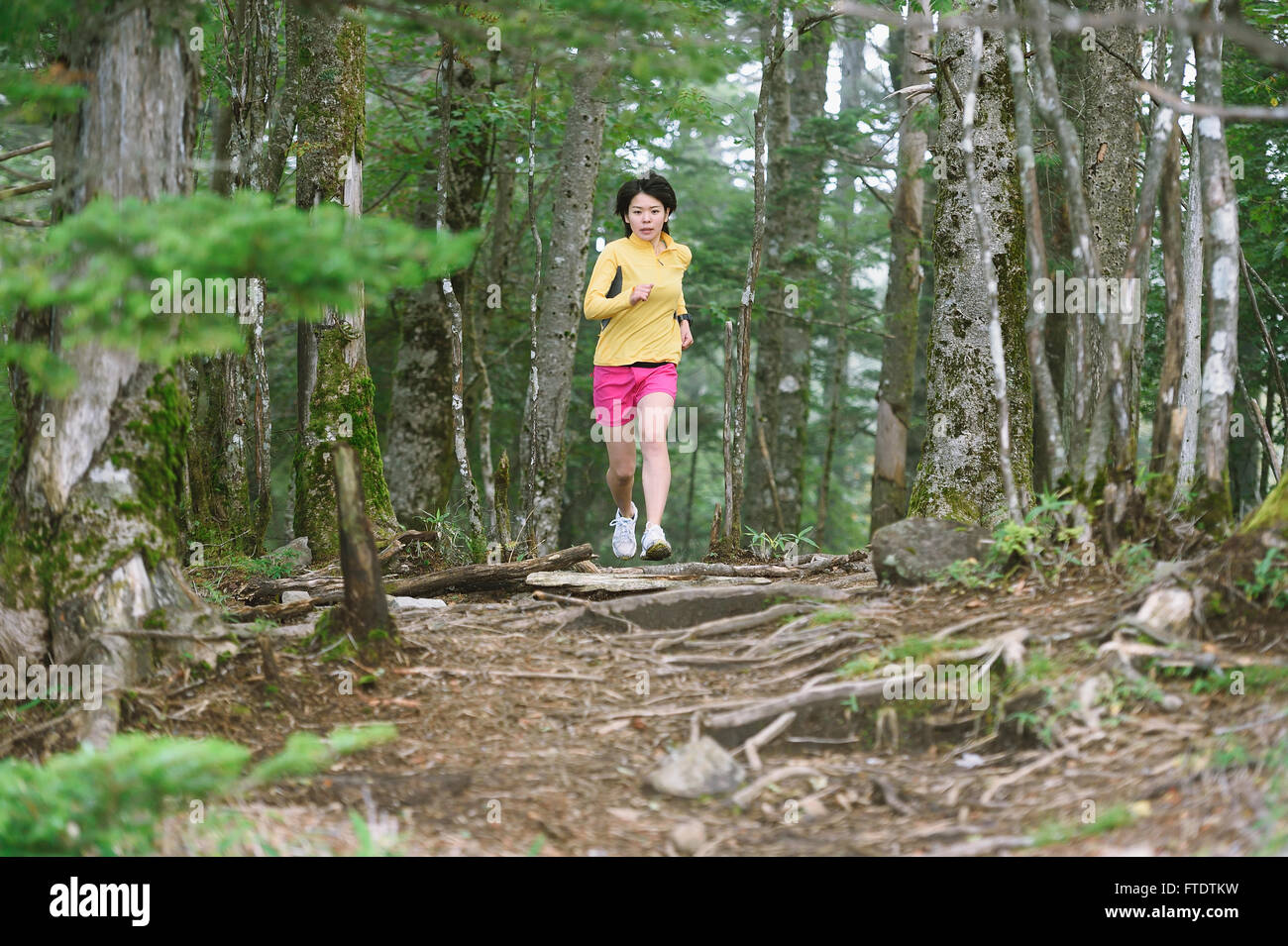 Young Japanese woman trail running at Mount Daibosatsu, Yamanashi ...