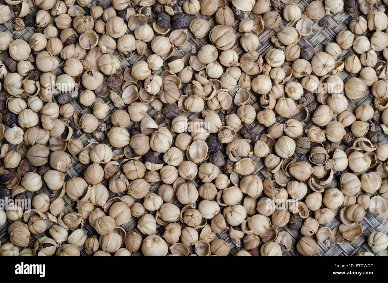 Background siam hi-res stock photography and images - Alamy