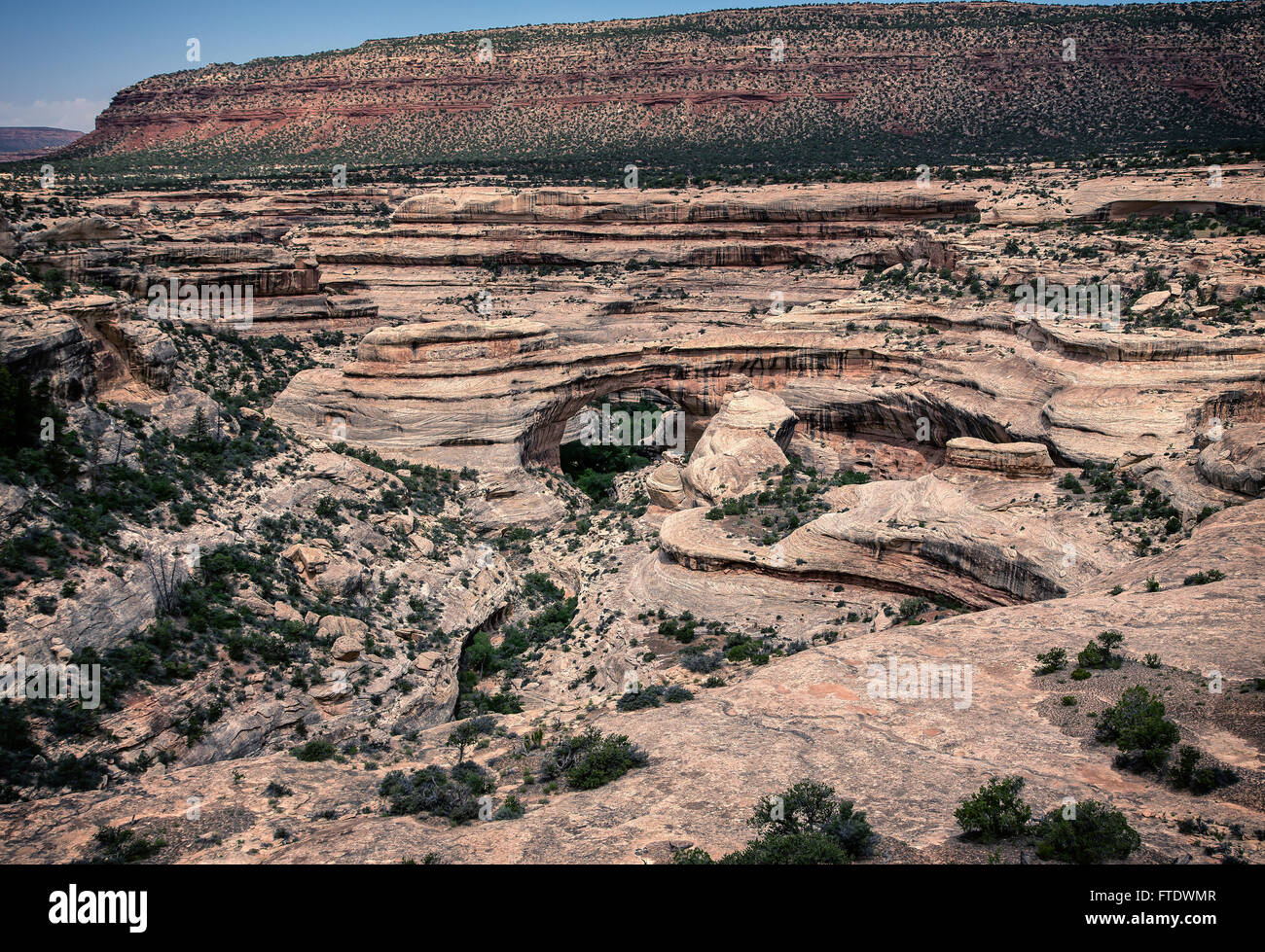 Natural Bridges National Monument in Utah Stock Photo - Alamy