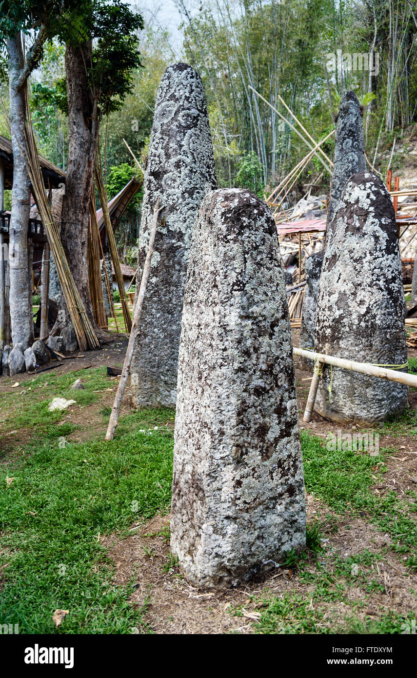 Ceremony site with megaliths. Bori Kalimbuang or Bori Parinding. It is ...