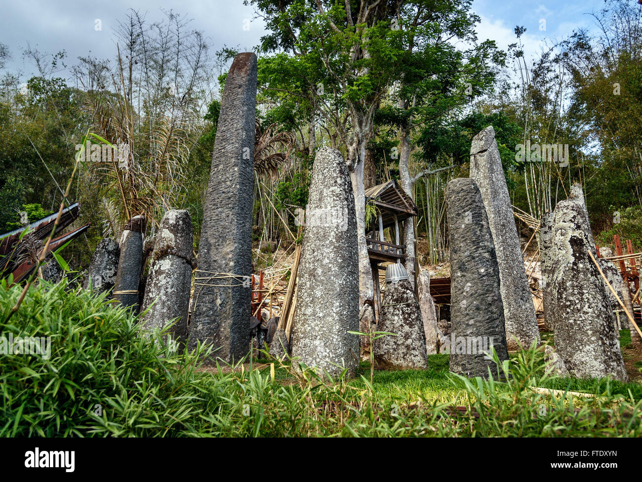 Bori Bori High Resolution Stock Photography and Images - Alamy