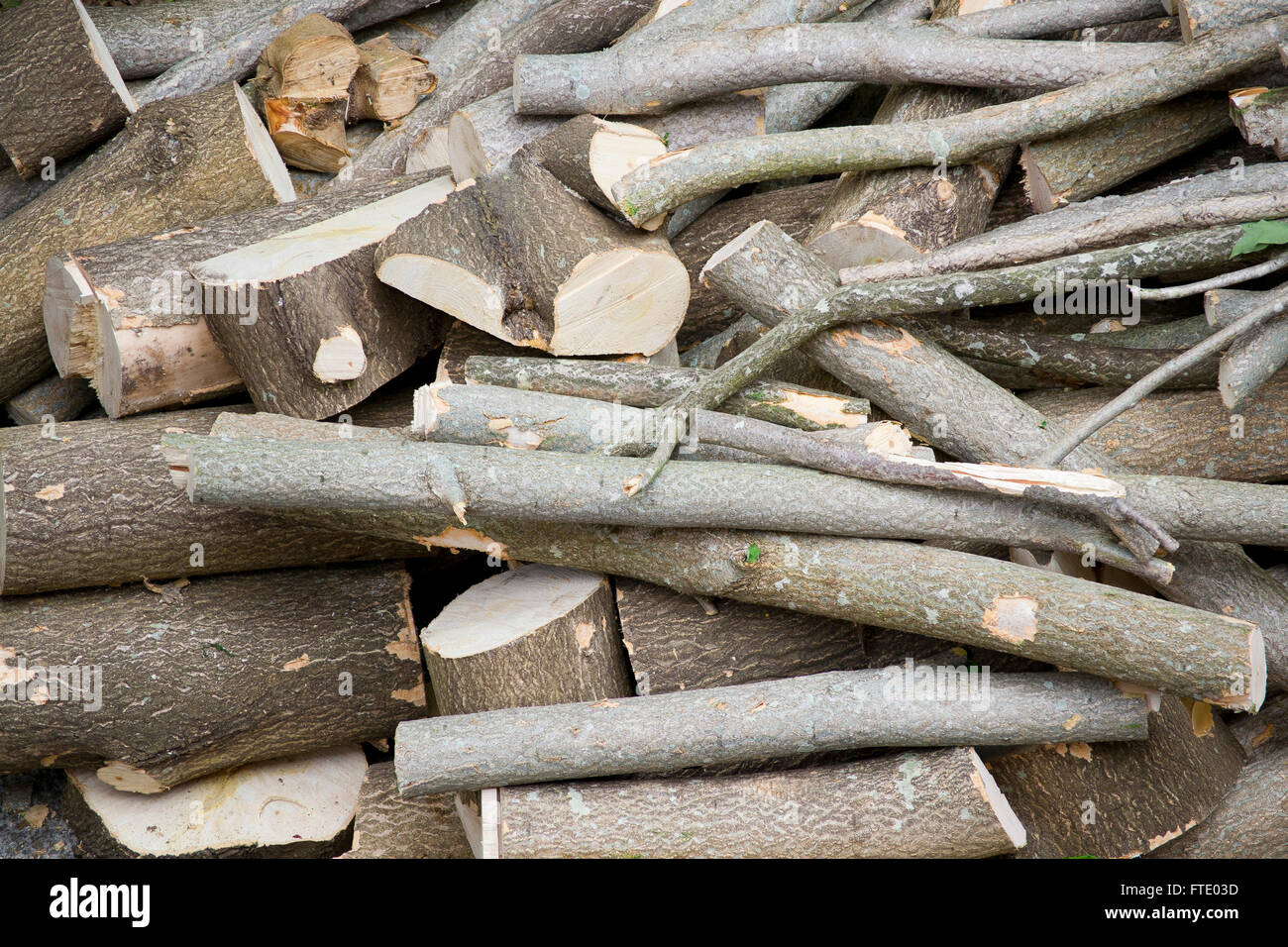 A pile of logs and branches after being cut and collected Stock Photo ...