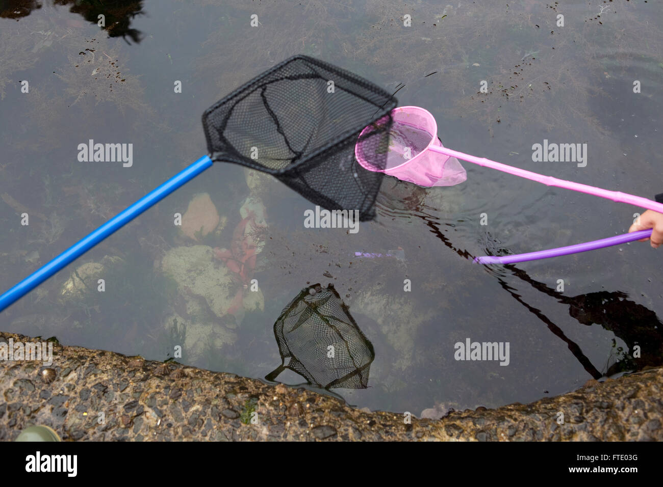 Explore the rock pools hi-res stock photography and images - Alamy