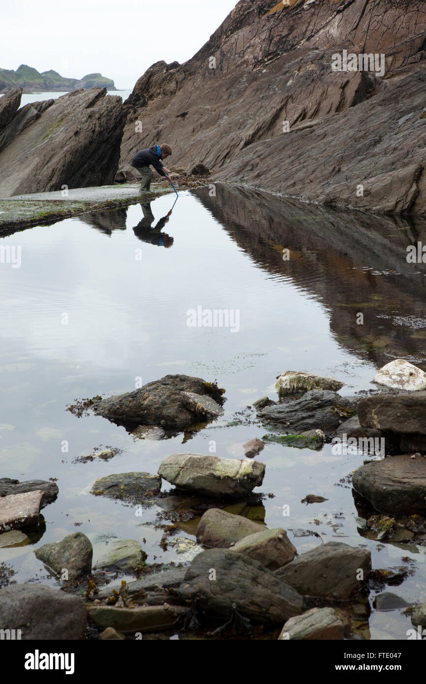 Explore the rock pools hi-res stock photography and images - Alamy