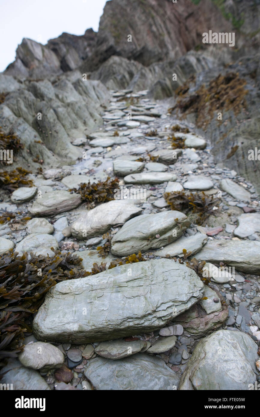 Slate grey rocks covered in seaweed sit on a beach as the tide has gone ...