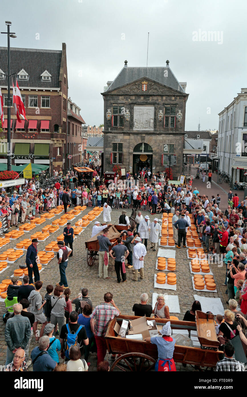 Looking down on the famous cheese market with the Goudse Waag (weigh ...