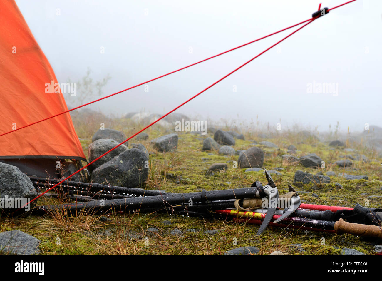 Waiting for climbing Stock Photo - Alamy
