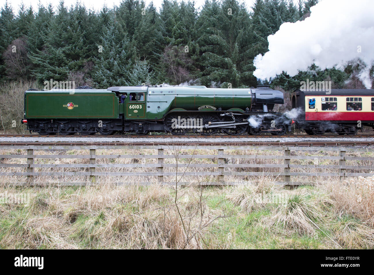 Green livery locomotive hi-res stock photography and images - Alamy