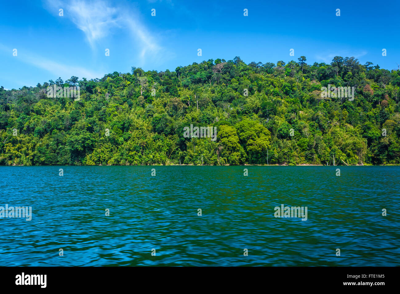 Tropical jungle tree line island in clear blue sky. Banding, Temenggor ...