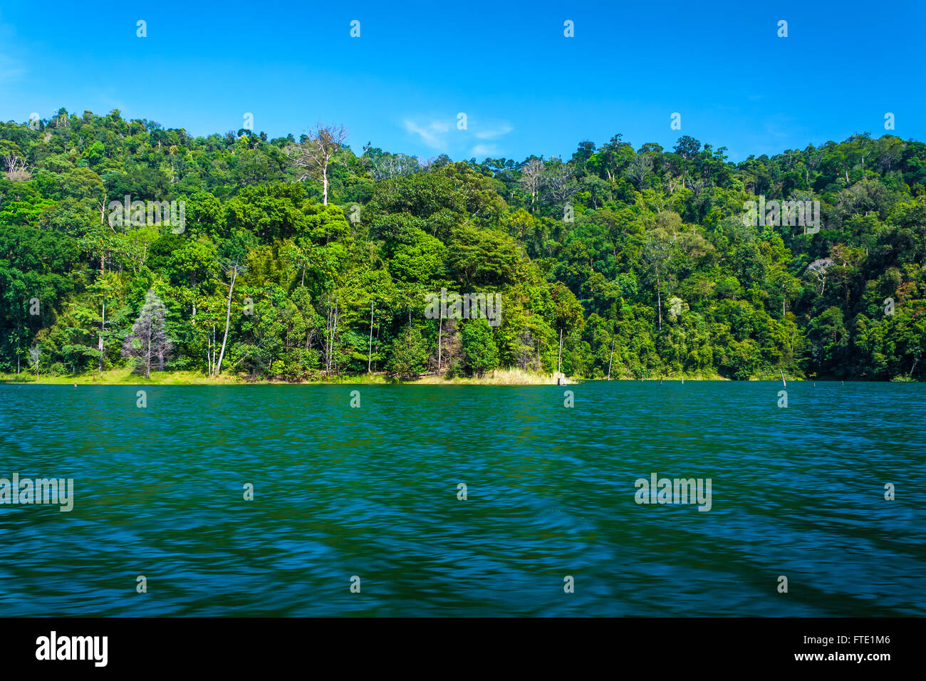 Tropical jungle tree line island in clear blue sky. Banding, Temenggor ...
