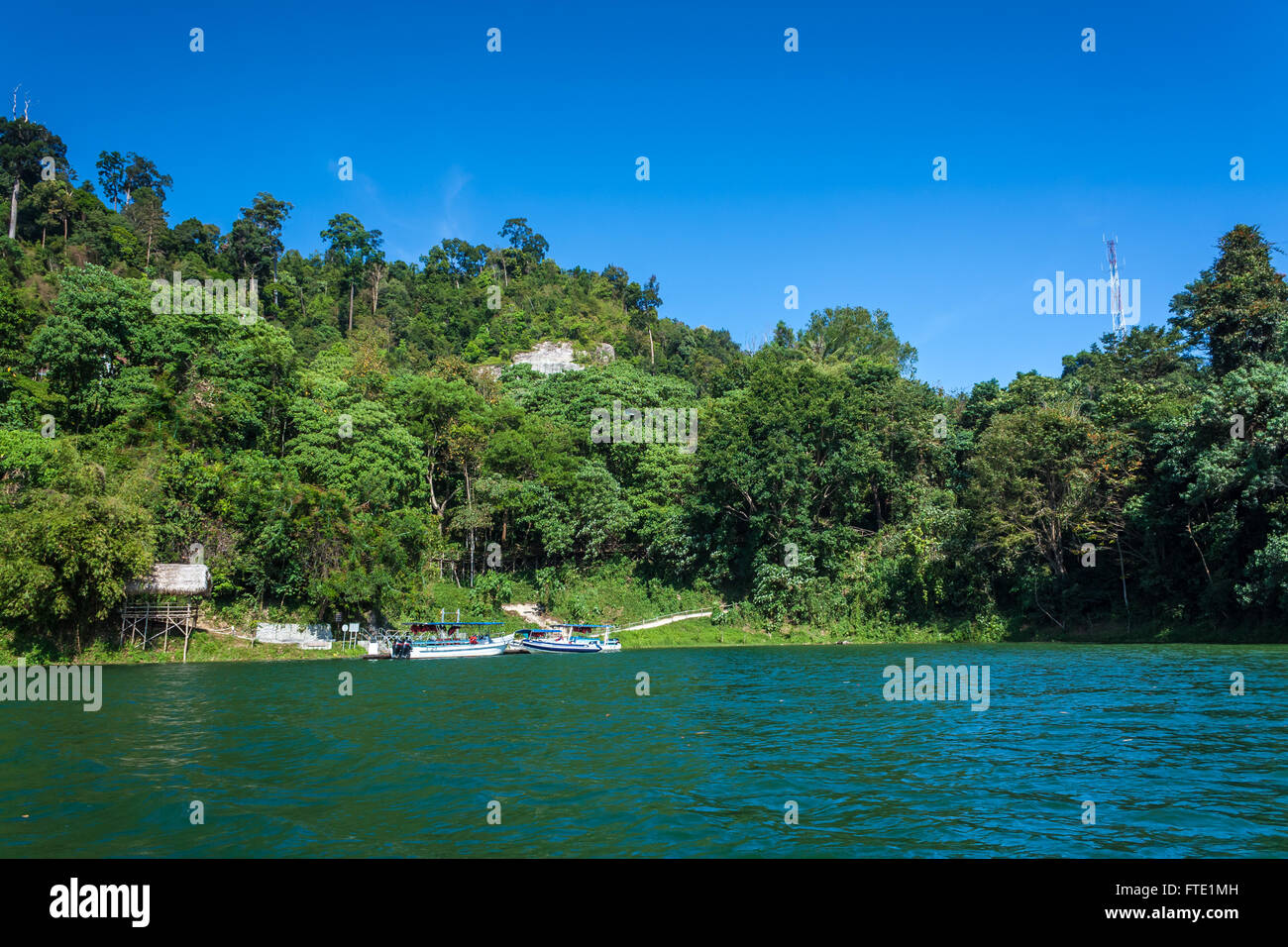 Tropical jungle tree line island in clear blue sky. Banding, Temenggor ...