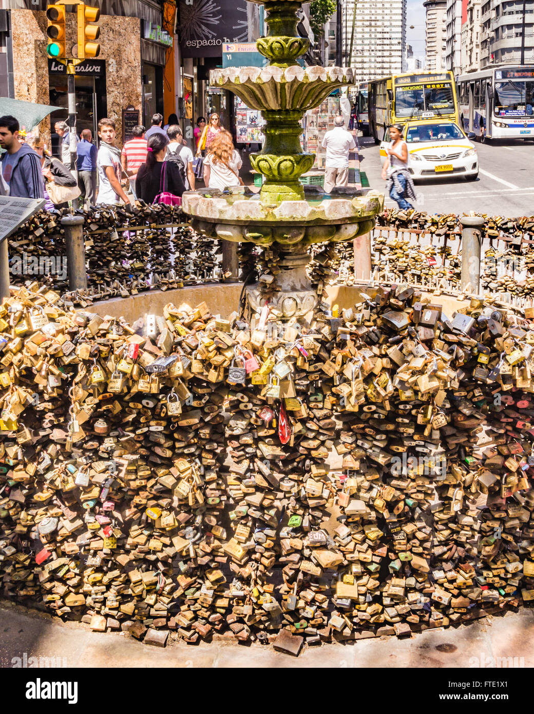 American ocks hi-res stock photography and images - Alamy