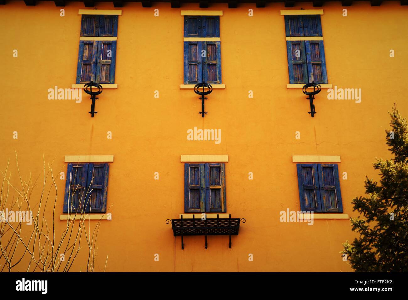 Classic work natural history hi-res stock photography and images - Alamy