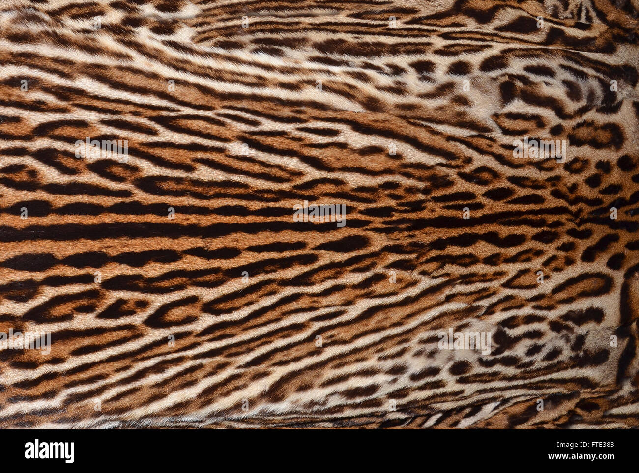 leopard texture background Stock Photo - Alamy