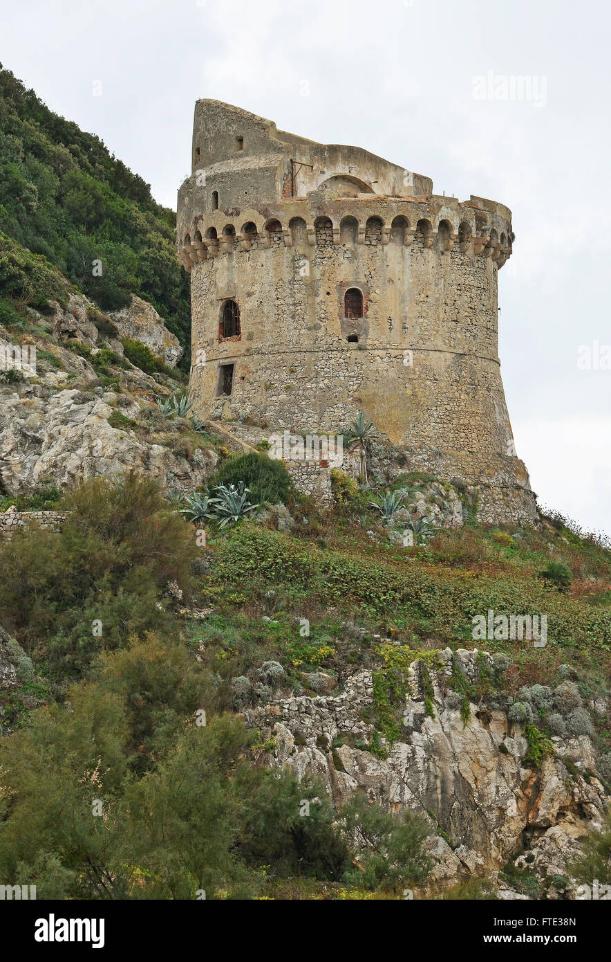 ancient tower on the rock Stock Photo - Alamy