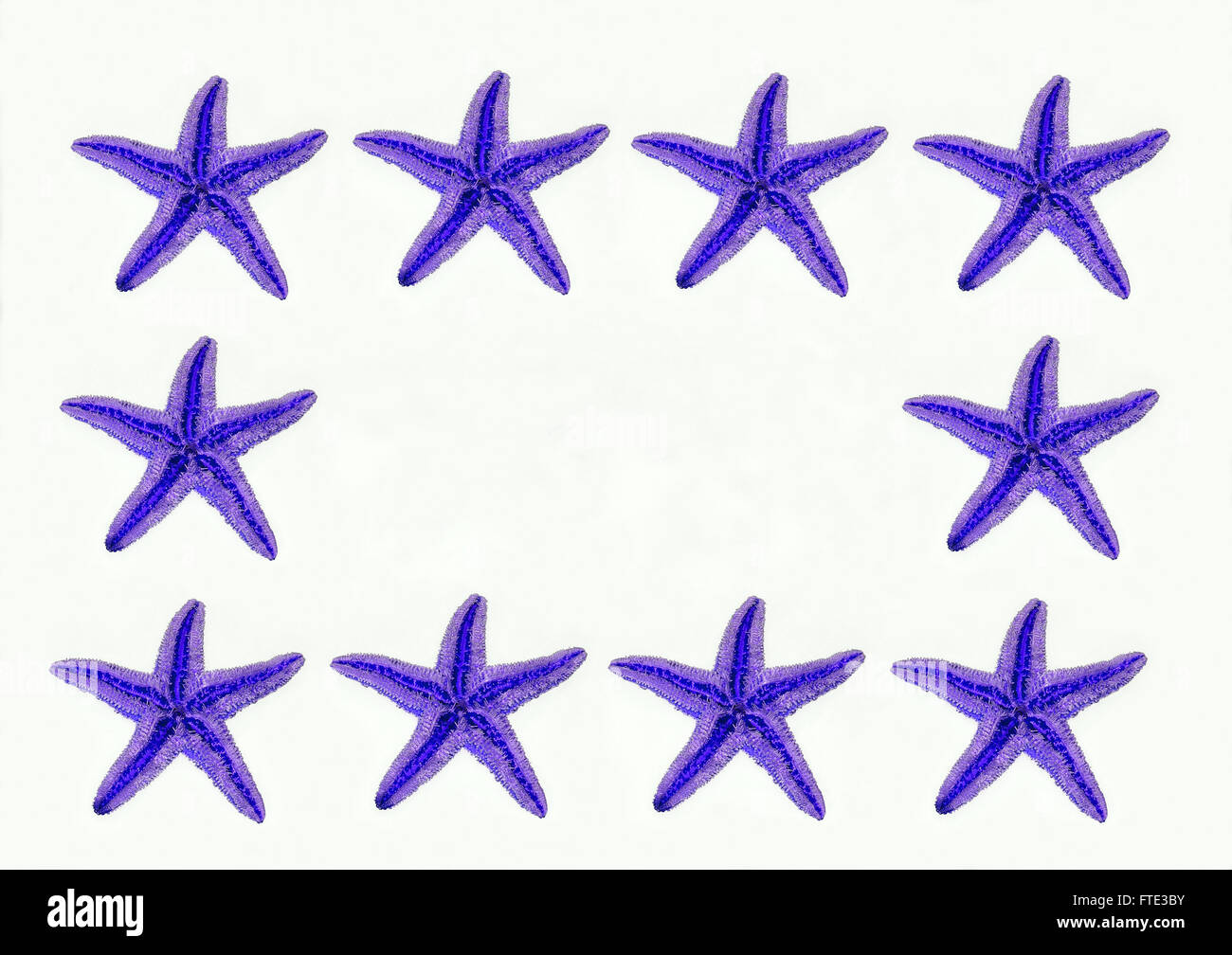 sea stars on white background Stock Photo - Alamy