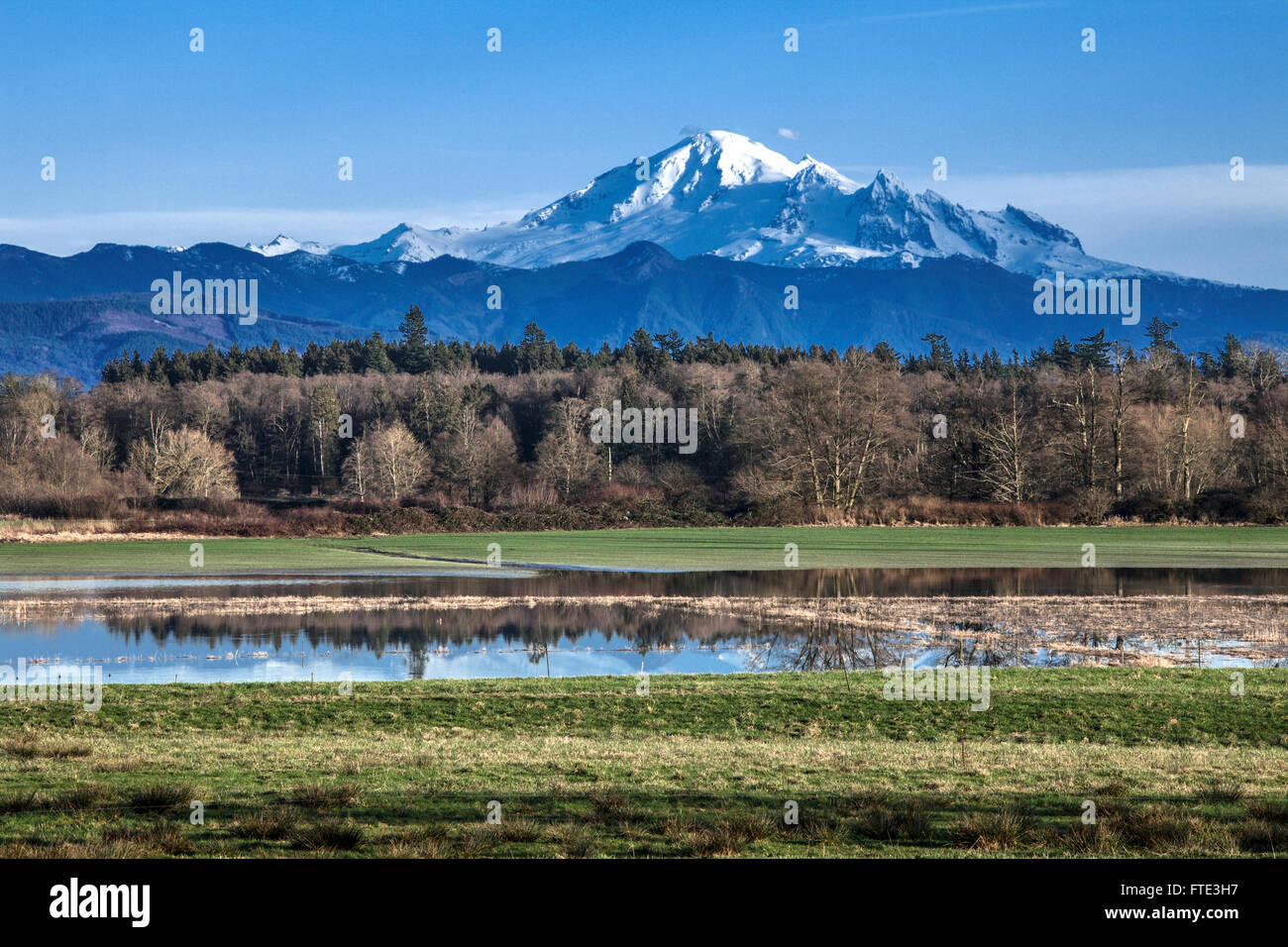 Mount Baker, Washington Stock Photo - Alamy