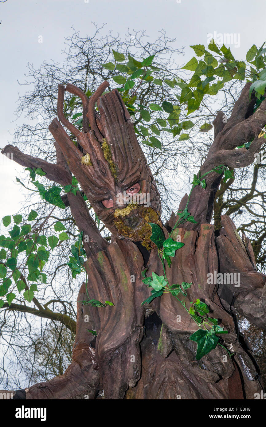 Tree Costume High Resolution Stock Photography and Images - Alamy
