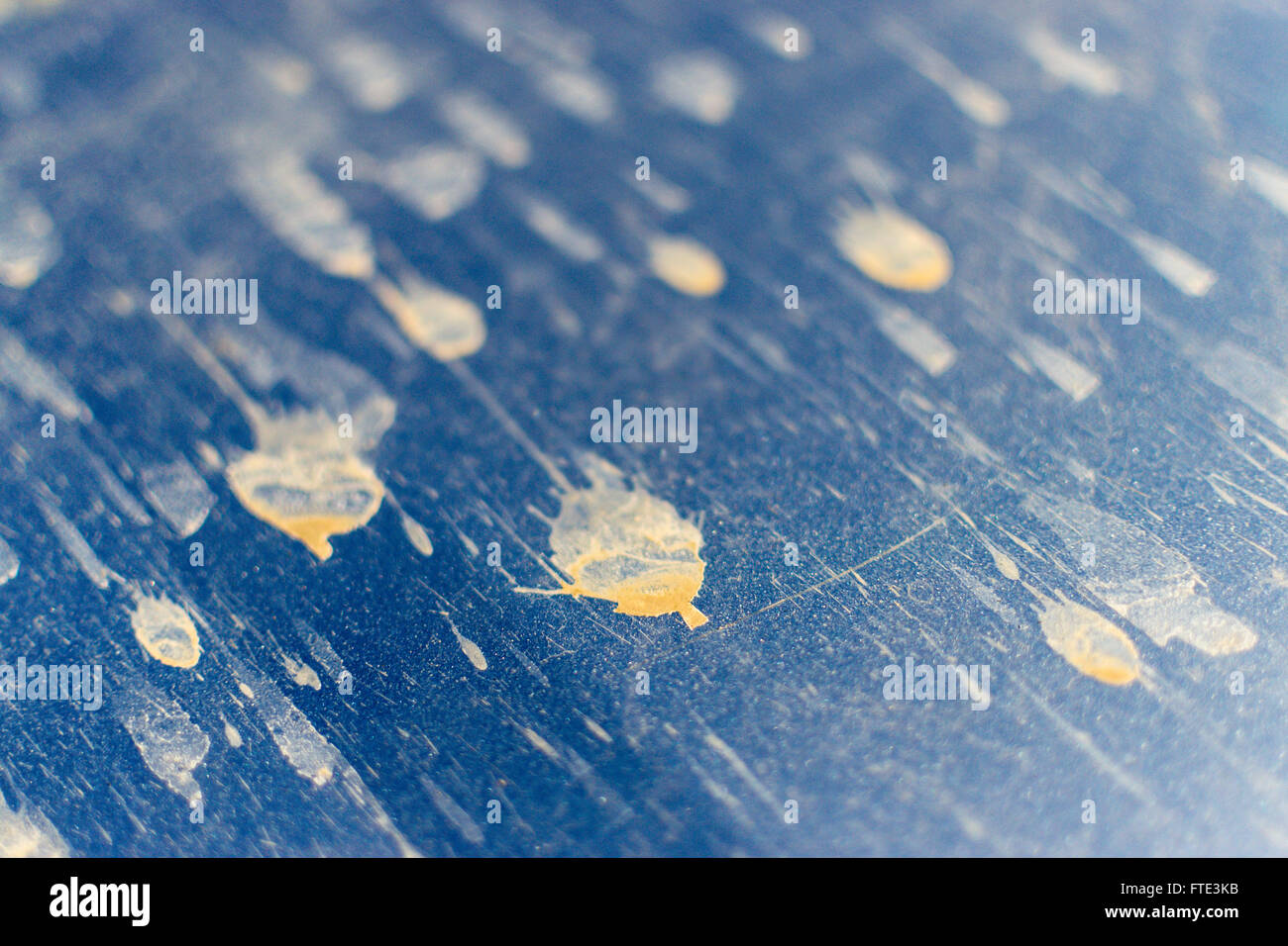 Dirty mud splashes make dynamic abstract trailing patterns as they dry ...