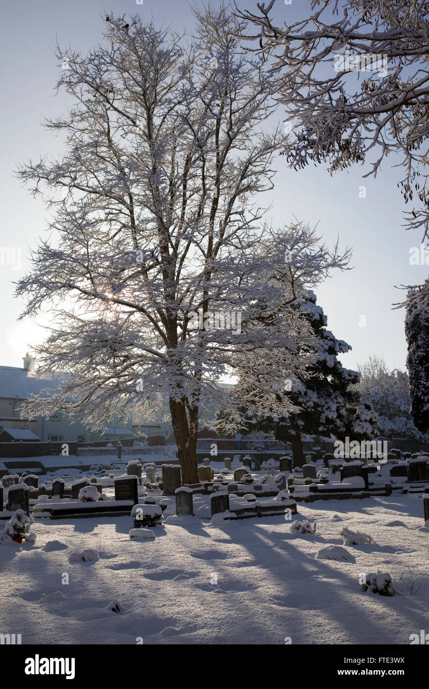 Cemetery under snow with sunlit snow laden trees and low sunlight with ...
