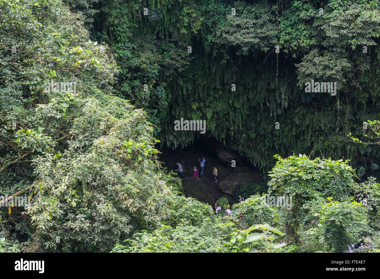 Bottom of the Fengluling volcano crater, covered by rainforest, at the ...