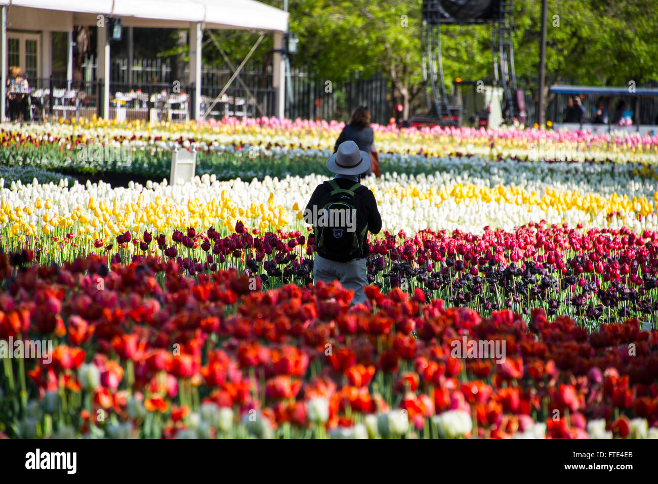 Floriade, canberra australia hi-res stock photography and images - Alamy