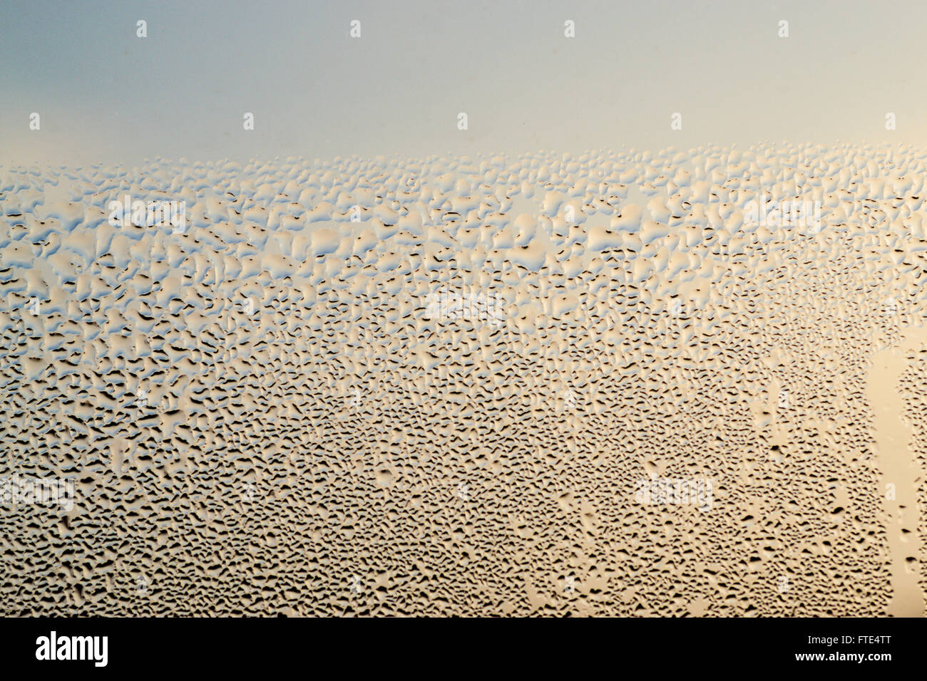 Condensation forms water droplets on the surface of a clear glass house ...