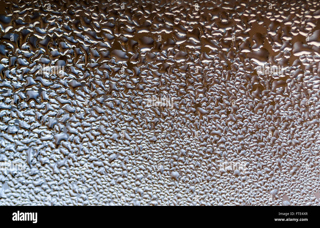 Condensation forms water droplets on the surface of a clear glass house ...
