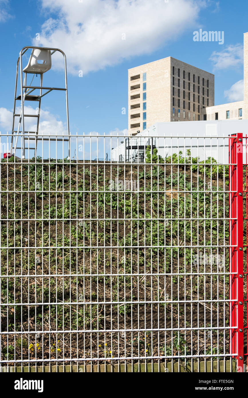 The outdoor natural swimming pool in King's Cross London, UK Stock ...