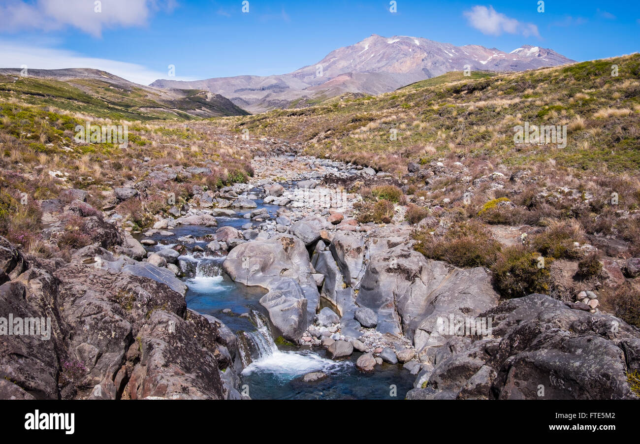 Mt. ruapehu new zealand hi-res stock photography and images - Alamy