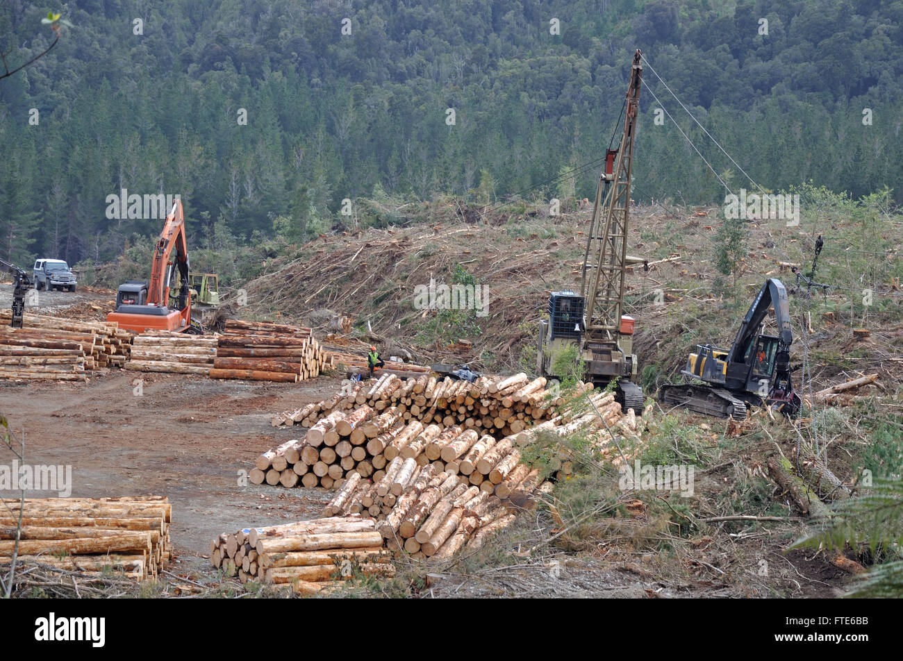 Logging landing hi-res stock photography and images - Alamy