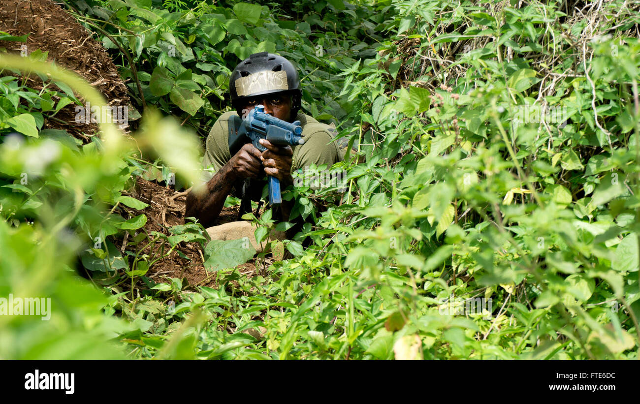 Cameroonian and Nigerian Special Forces collaborated during the ...