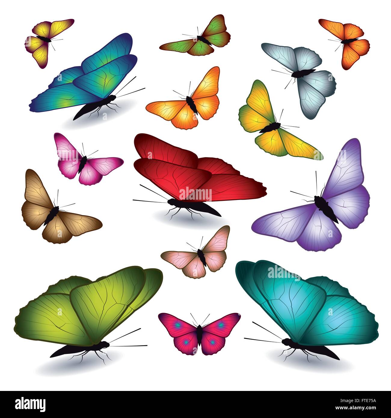 Set of butterflies Stock Vector Image & Art - Alamy