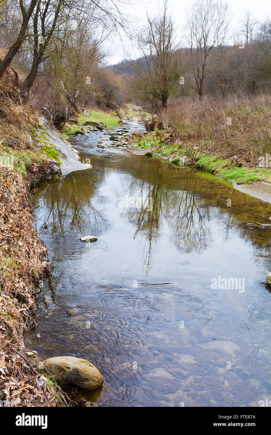 Part of dry river in the woods during spring Stock Photo - Alamy