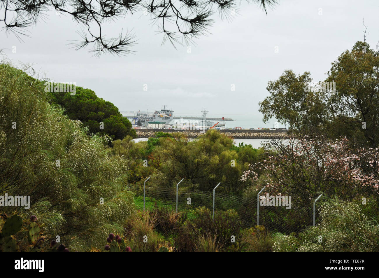 The MV Cape Ray, a modified container ship, arrived at Naval Station ...