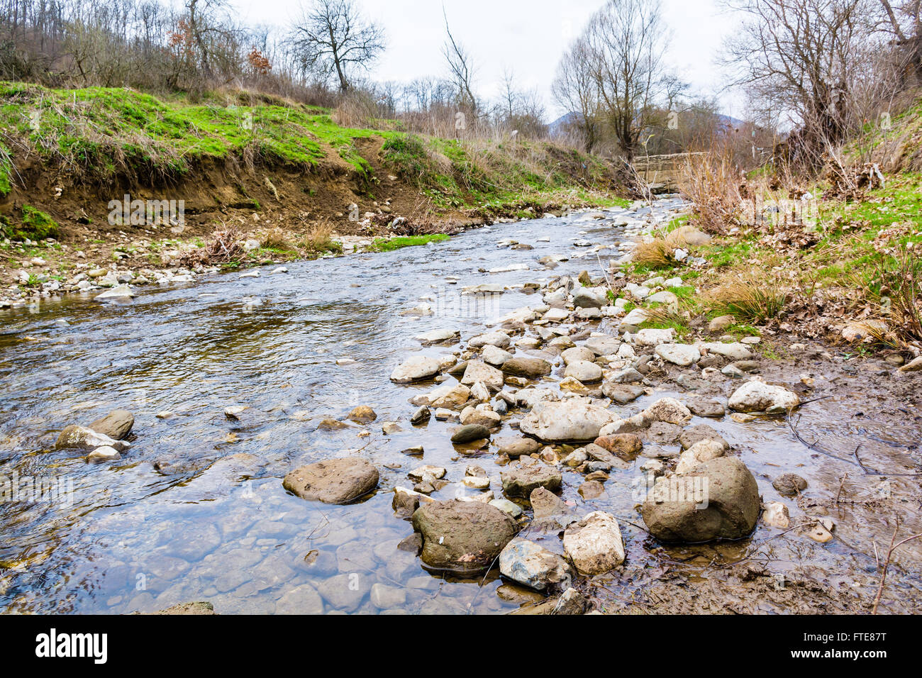 Part of dry river in the woods during spring Stock Photo - Alamy