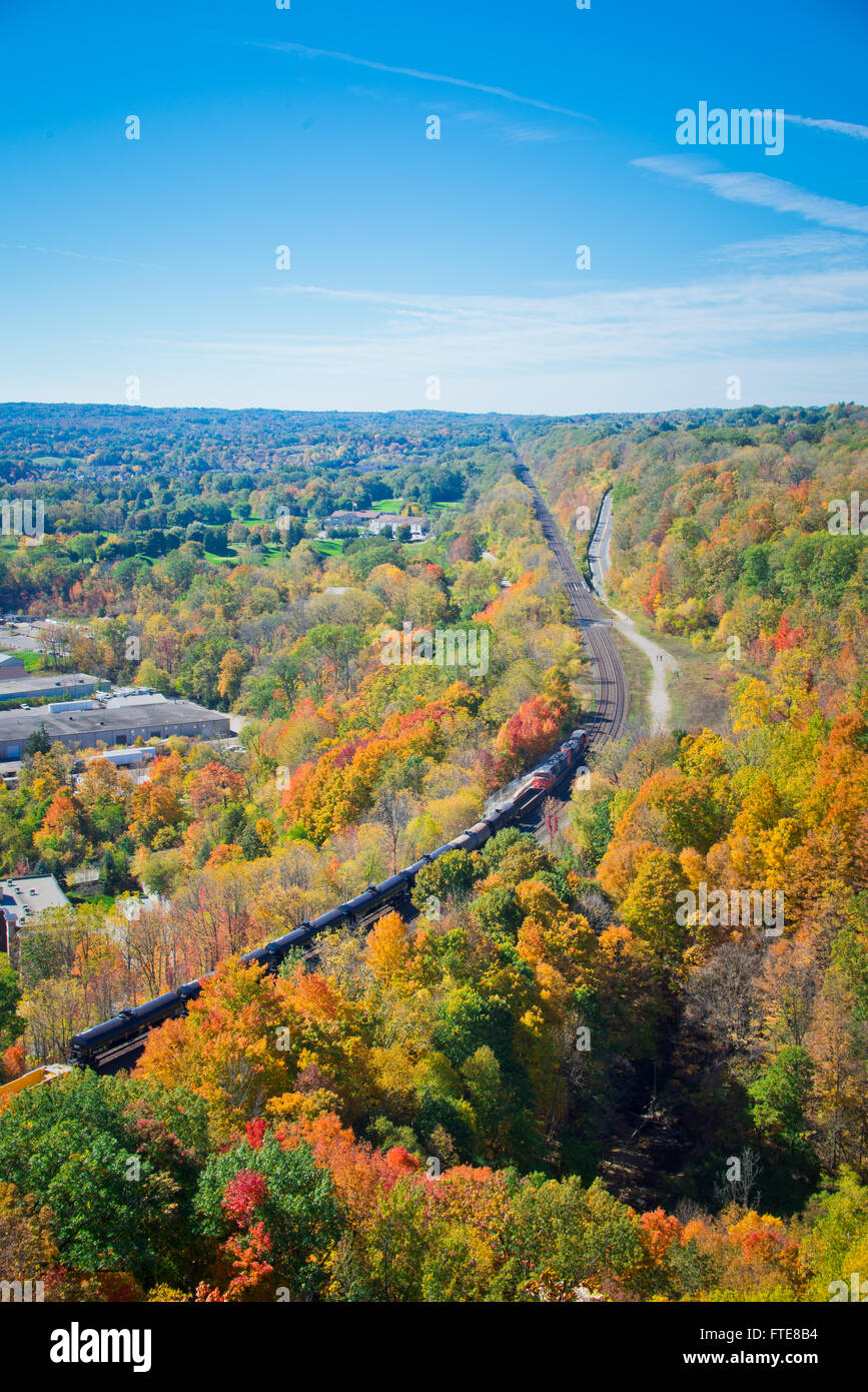 colorful maple leaves in foreset in autumn season of Ontario Canada ...