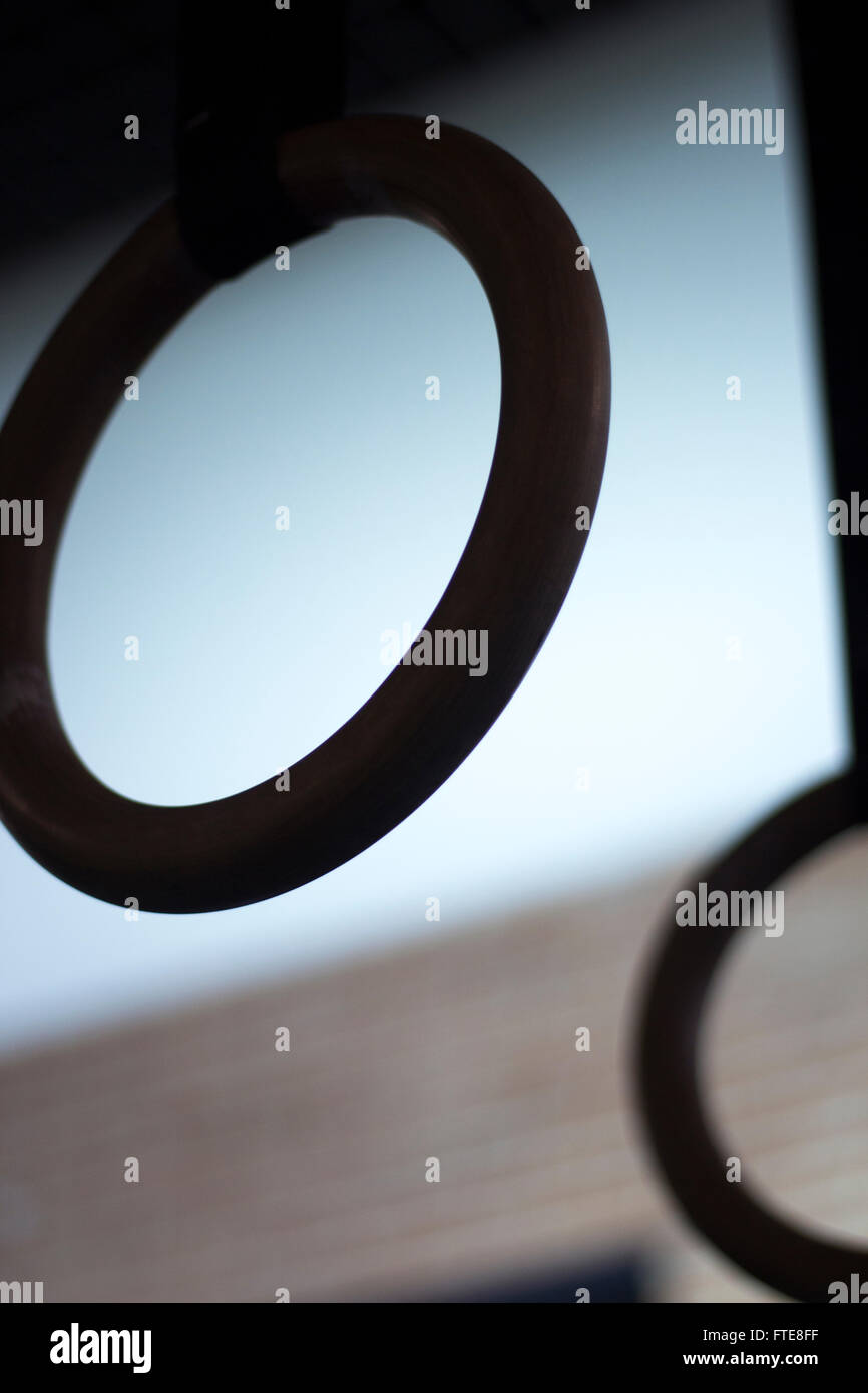 Olympic gymnasium rings in crossfit, bodybuilding and weight training ...