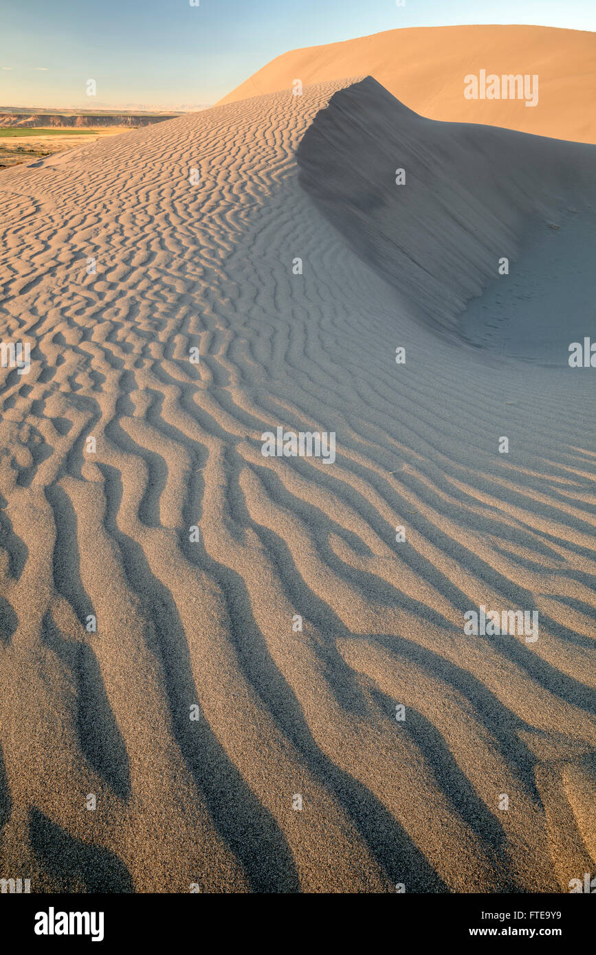 Sand dune with ripples in the sand Stock Photo - Alamy