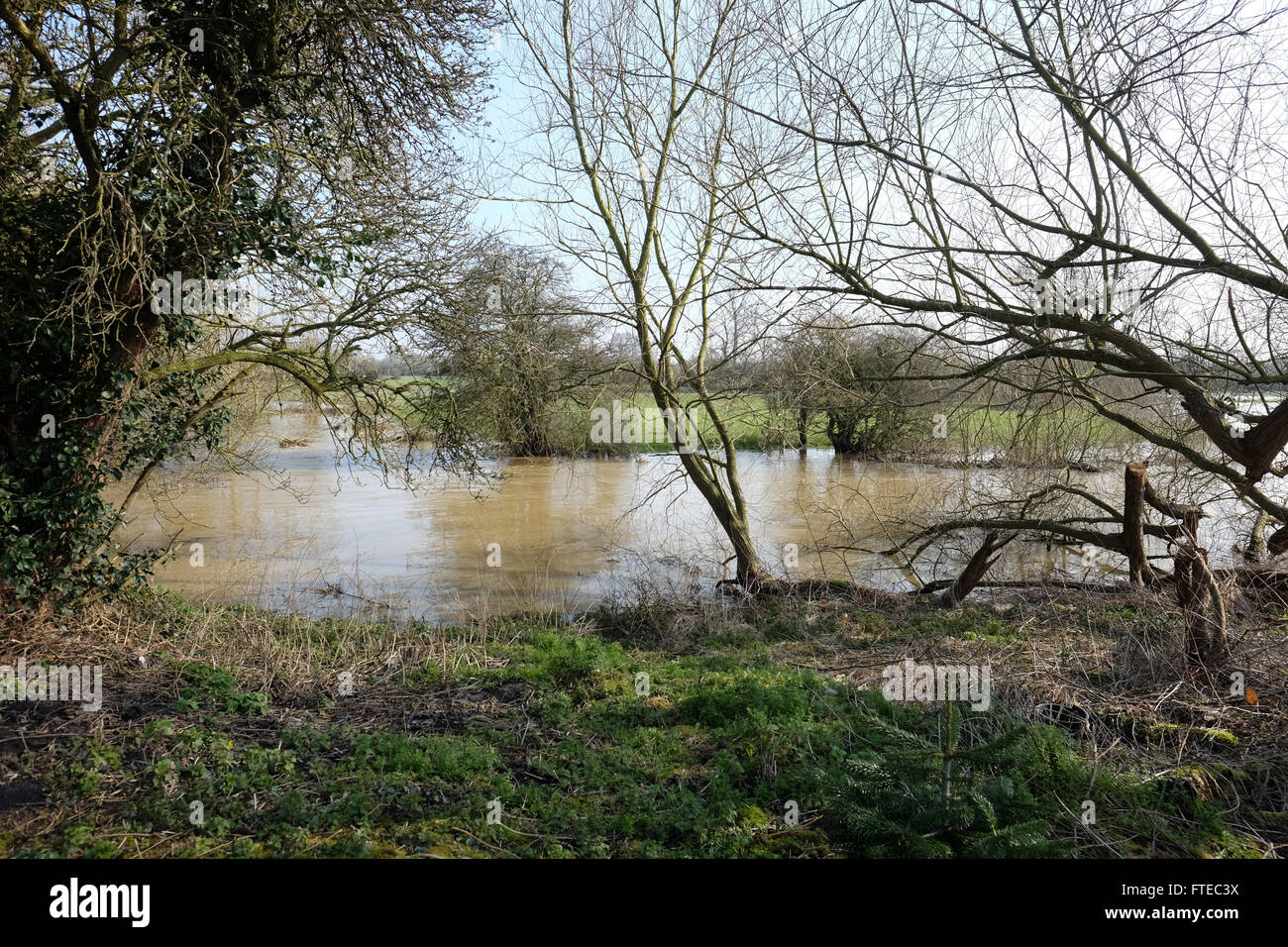 flooding on the river soar Stock Photo - Alamy
