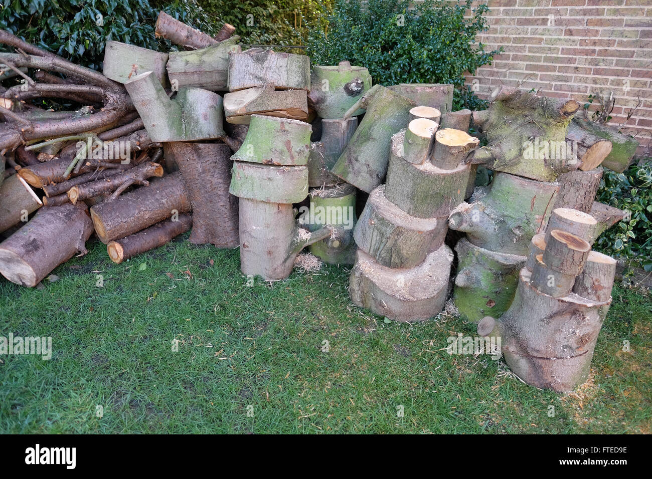 Log seasoning hi-res stock photography and images - Alamy