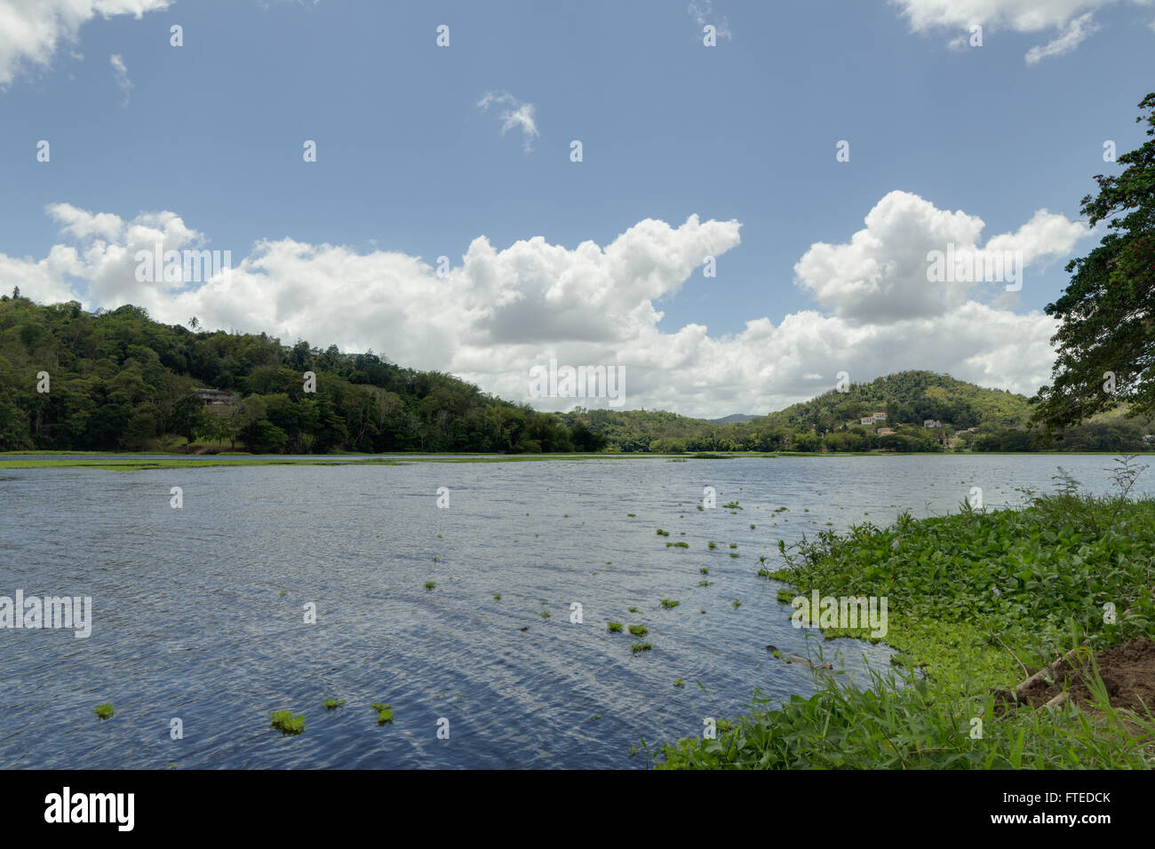 Carraizo Lake, Truijillo Alto, Puerto Rico Stock Photo - Alamy