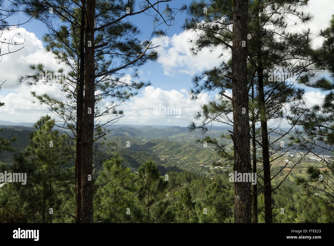 Mountains of Cayey, Puerto Rico Stock Photo - Alamy
