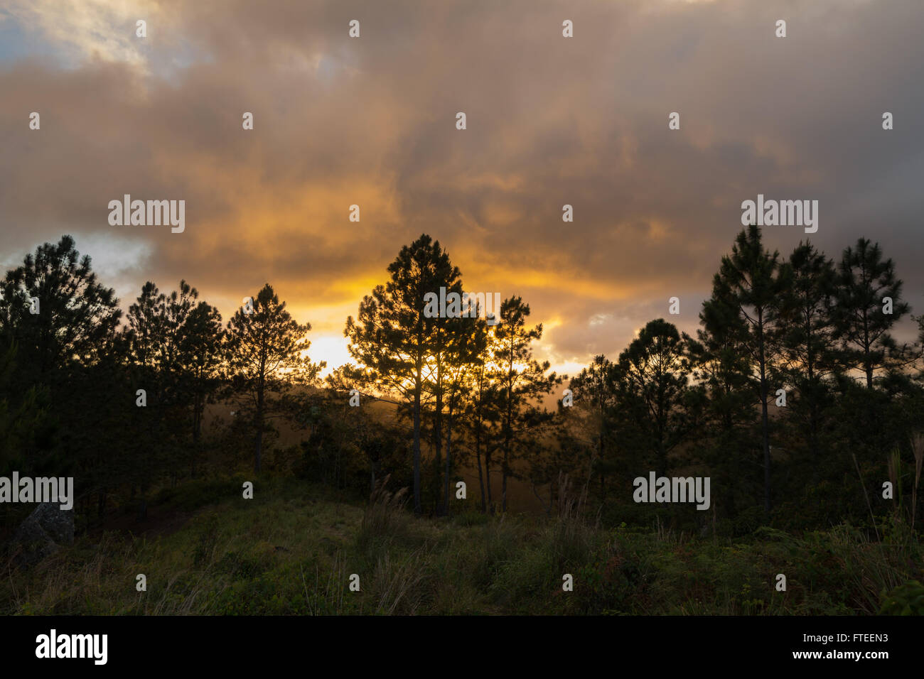 Cayey puerto rico hi-res stock photography and images - Alamy