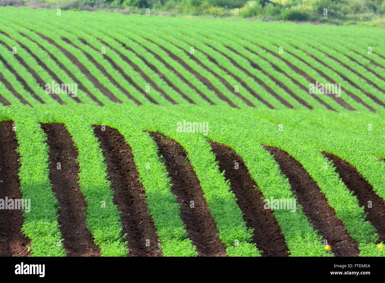Hilly farm land hi-res stock photography and images - Alamy
