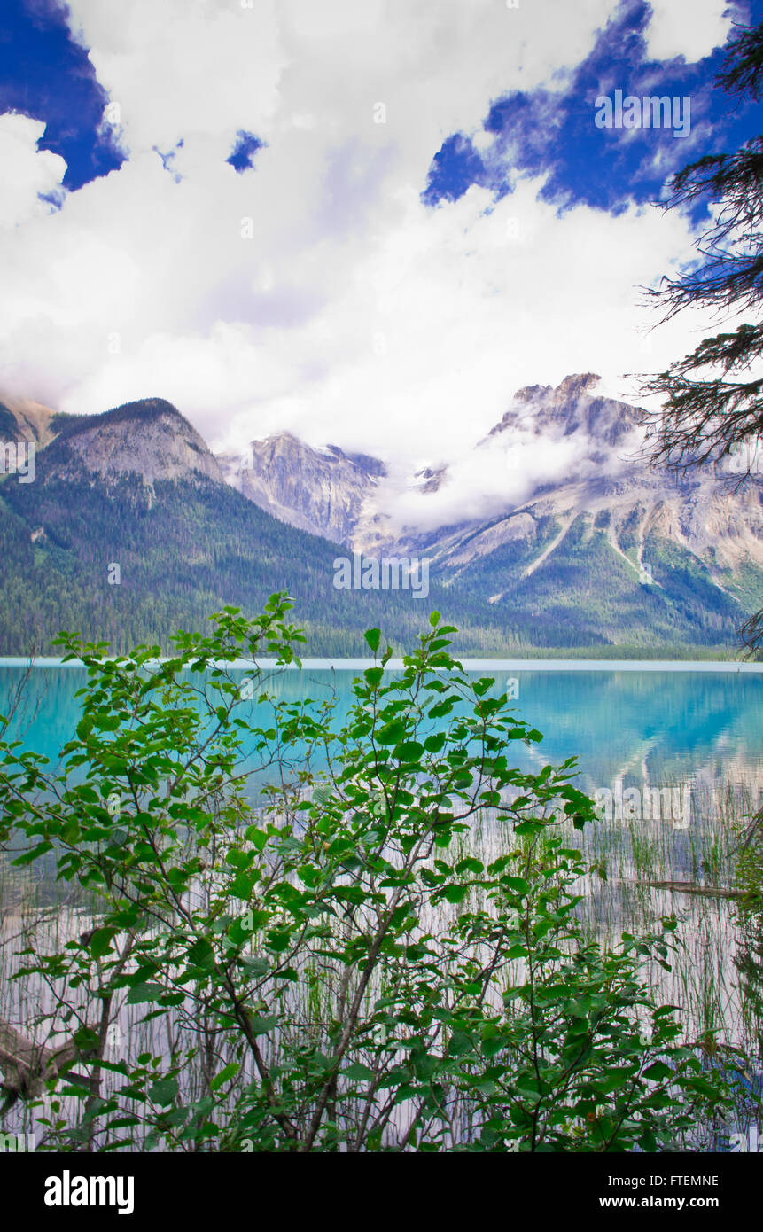 beautiful scene in Banff national park, Albert, Canada Stock Photo - Alamy